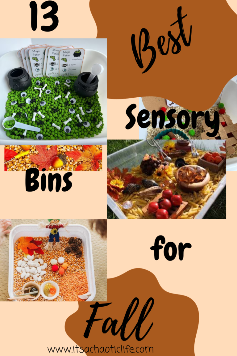 Fall Sensory Bins - It's a Chaotic Life